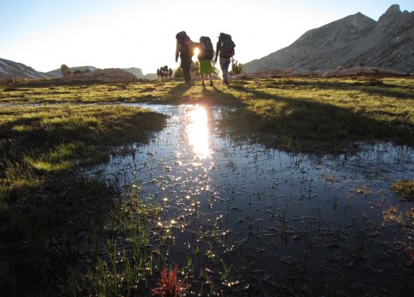 Programs | NatureBridge