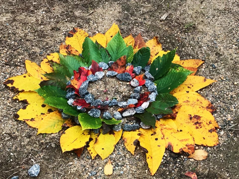 Finding Art in Nature | NatureBridge